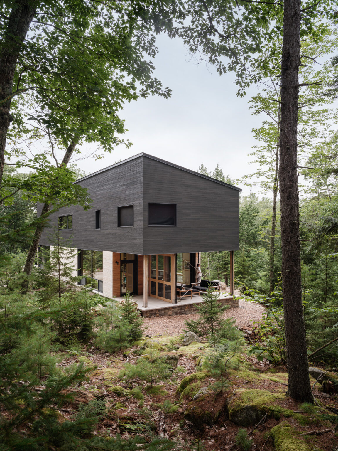 The Roost - OPAL Architecture / Innovation / Ecology